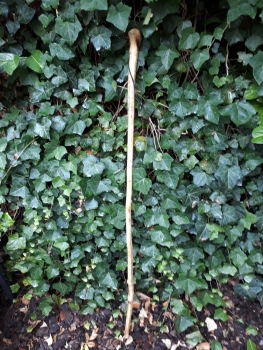 nova-naturshop.de - Wanderstock , Pilgerstock Waldgesicht, Wurzelstock ...