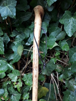 nova-naturshop.de - Wanderstock , Pilgerstock Waldgesicht, Wurzelstock ...